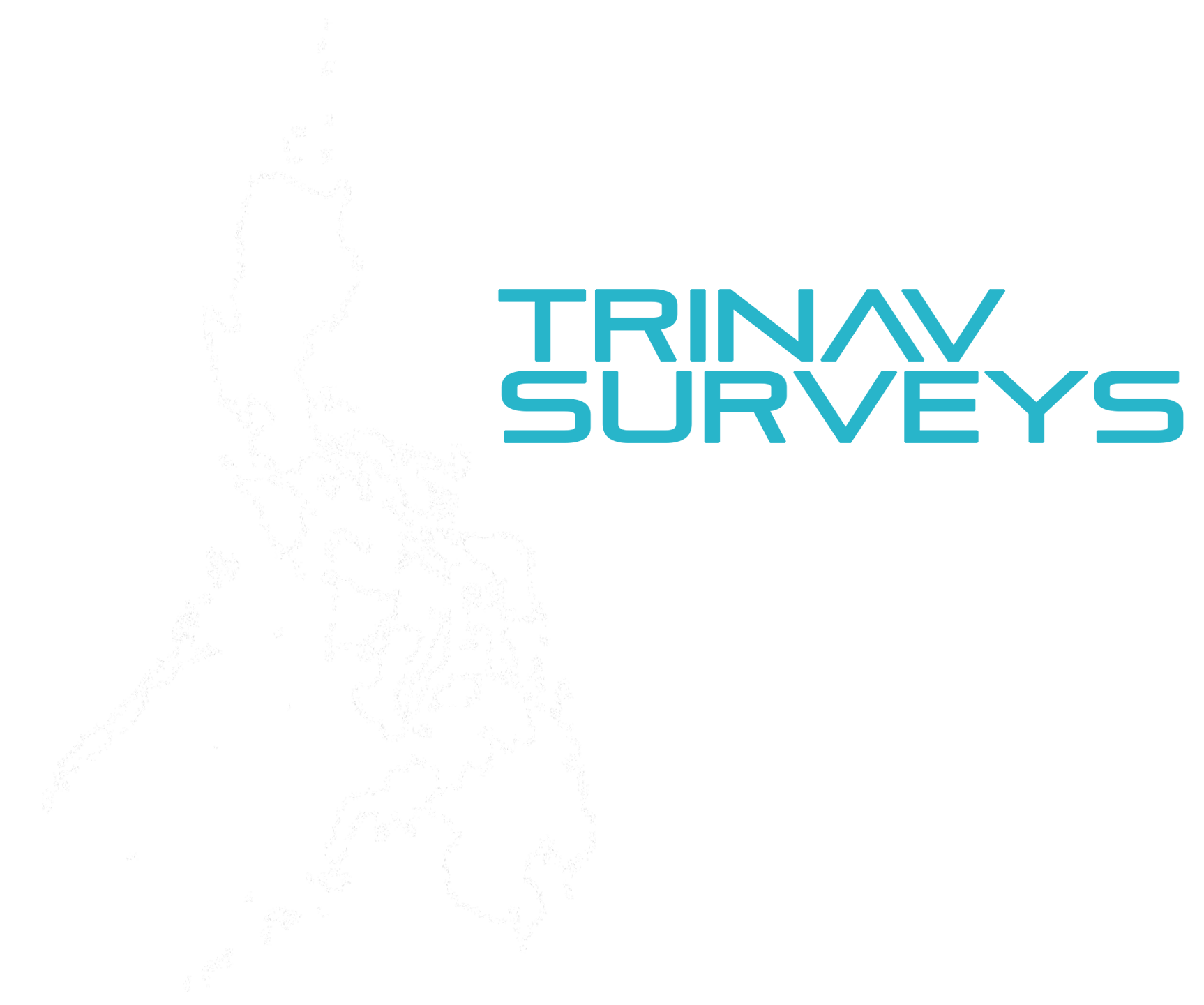 Trinav Surveys | Metro manila, Philippines